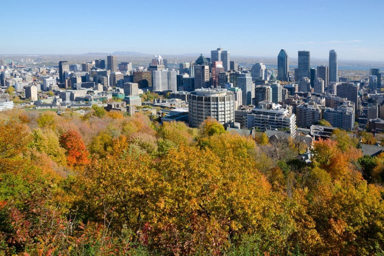 International Research and Training | INRS