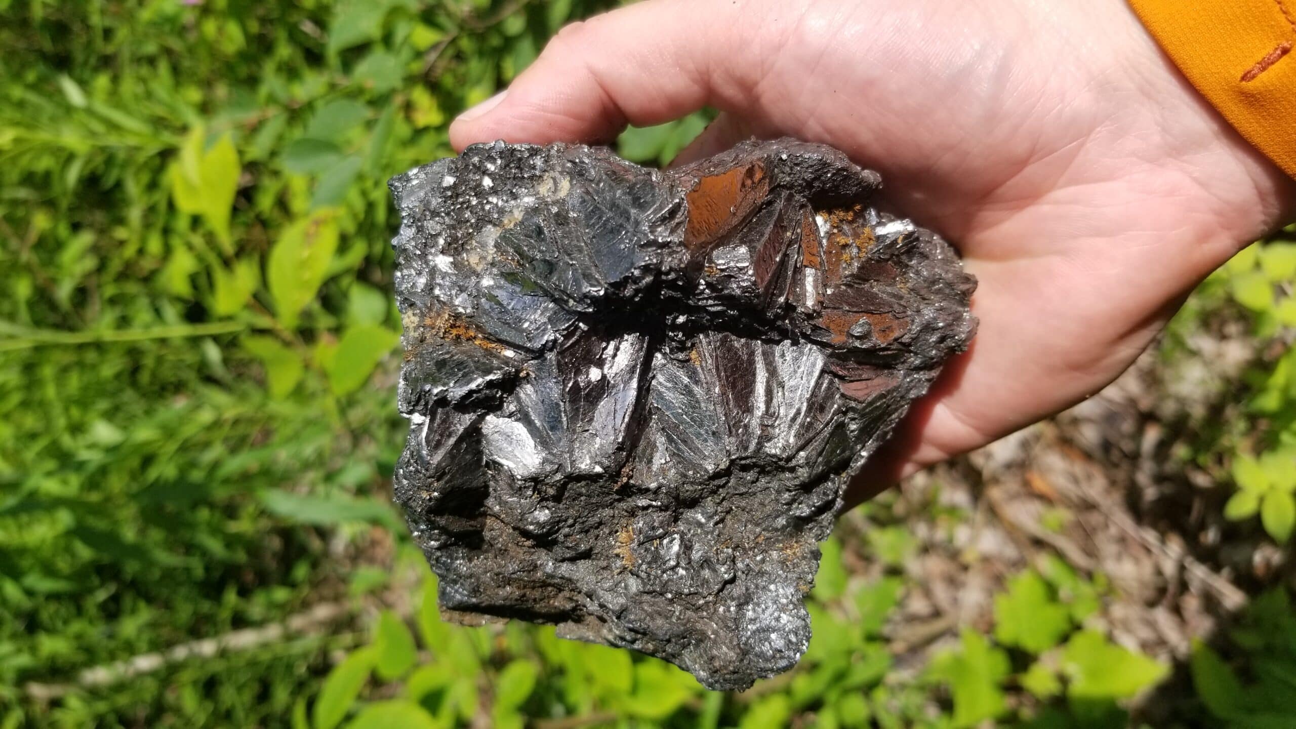Micro-inclusions, impurities, and anisotropy in metamorphic graphite ...