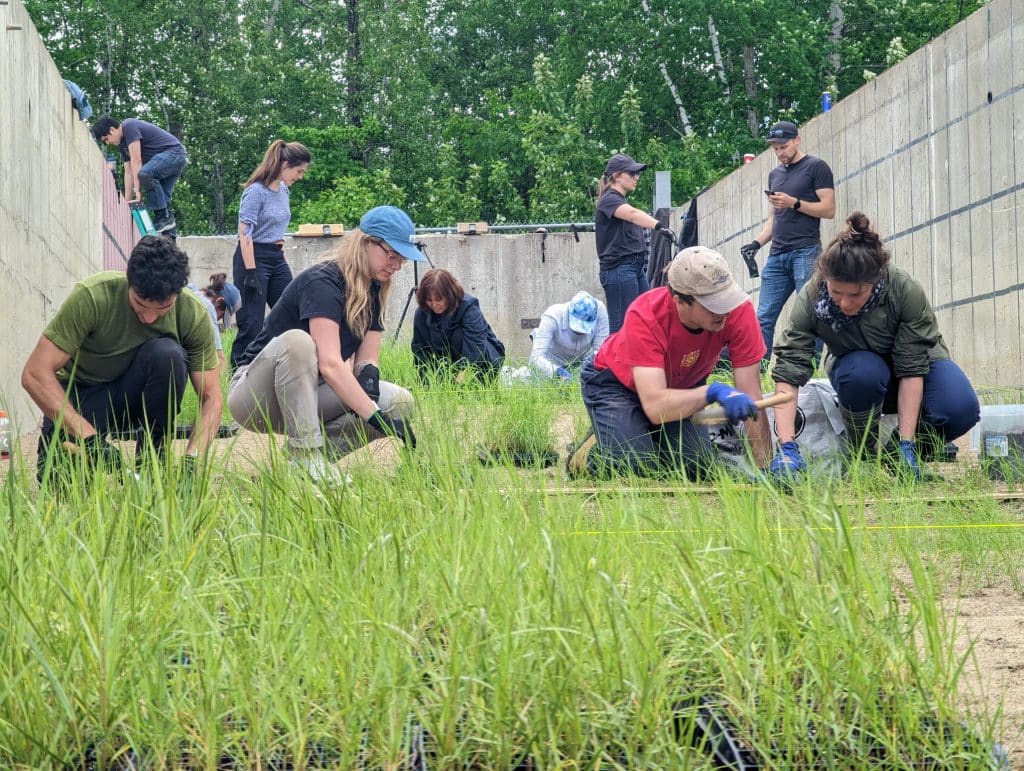 Undergraduate Summer Research Internships | Future Students | INRS